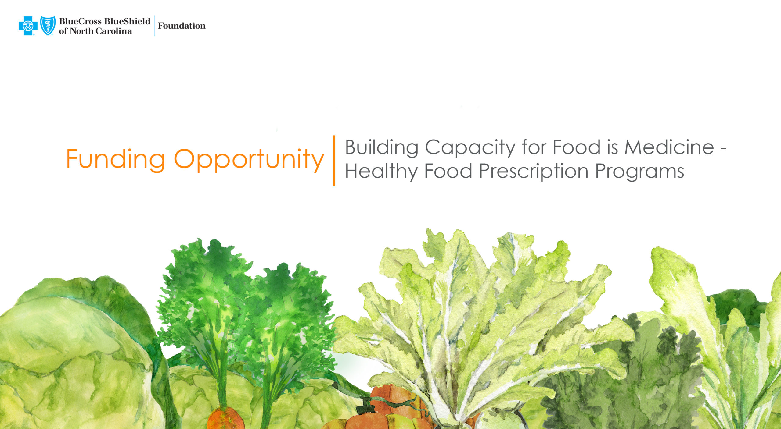 Food is Medicine - BlueCross BlueShield of North Carolina Foundation ...