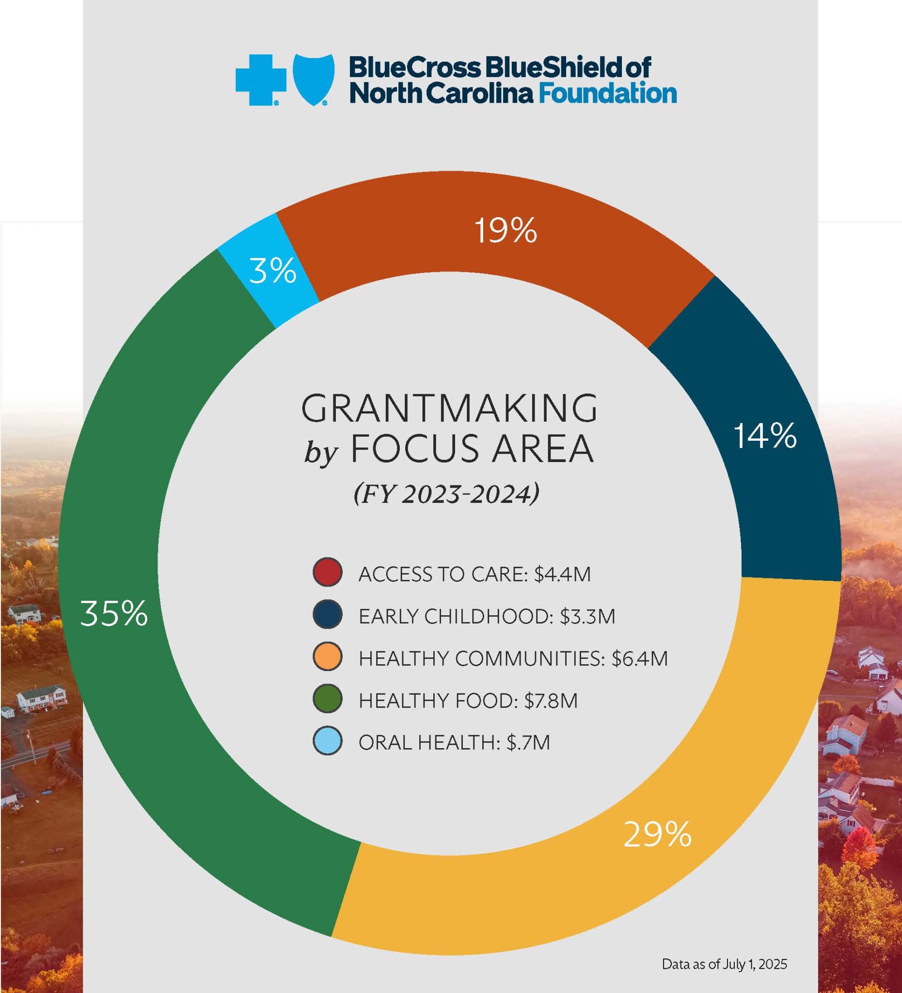 Our Organization - BlueCross BlueShield of North Carolina Foundation ...